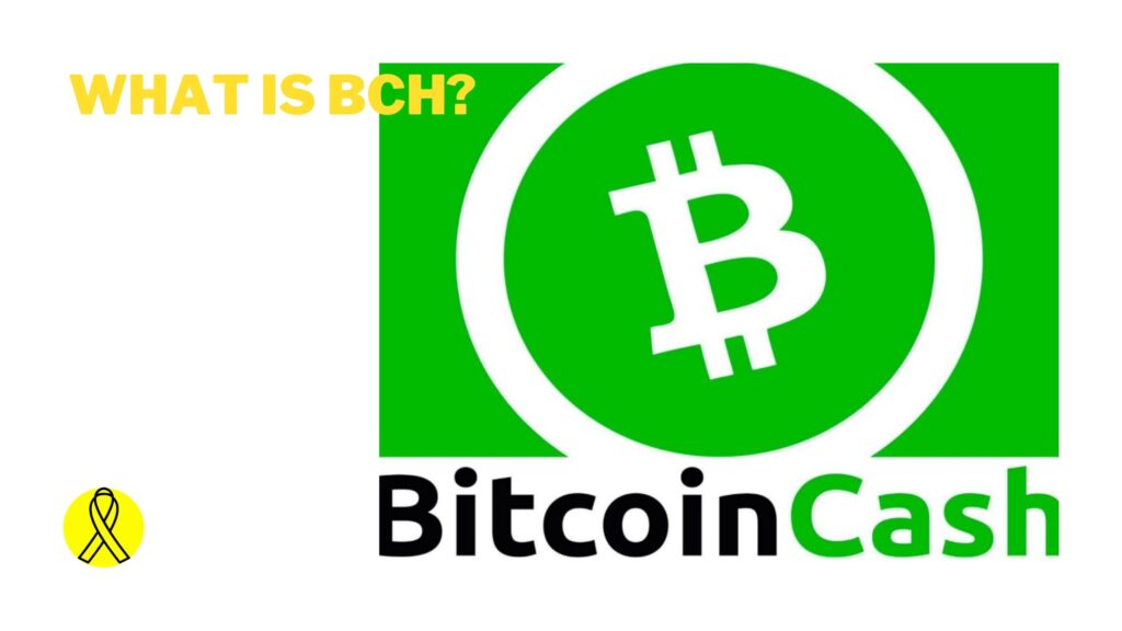 What is BCH – Bitcoin cash used for? – Defi Future
